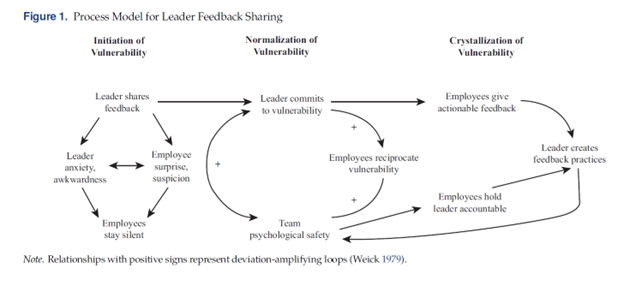 Taking your team behind the curtain: The effects of leader feedback ...