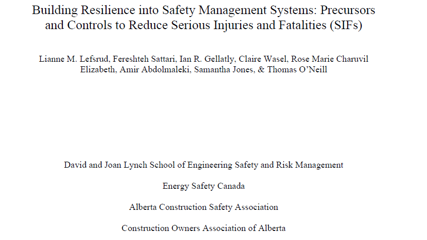Building Resilience into Safety Management Systems: Precursors and ...