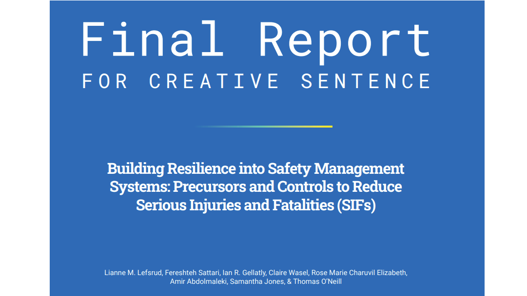 Building Resilience into Safety Management Systems: Precursors and ...